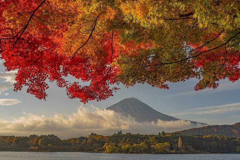 Tom Till to retire after 40-year landscape photography career - Moab ...