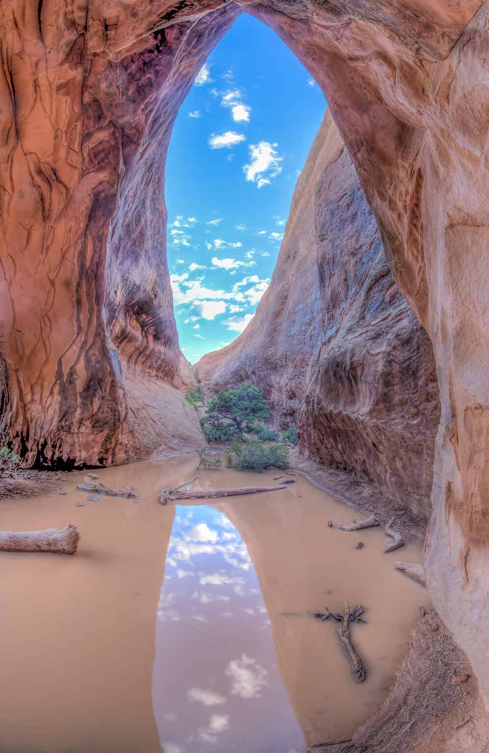 Tom Till to retire after 40-year landscape photography career - Moab ...