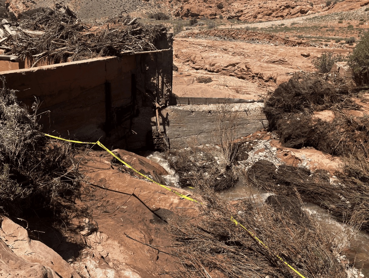 Monsoon Mayhem: How authorities are taking action and how you can too ...